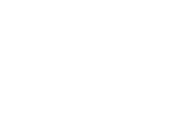 HEMA Swords & Feders | Haft Arms – Fast Worldwide Shipping - Hema Feders