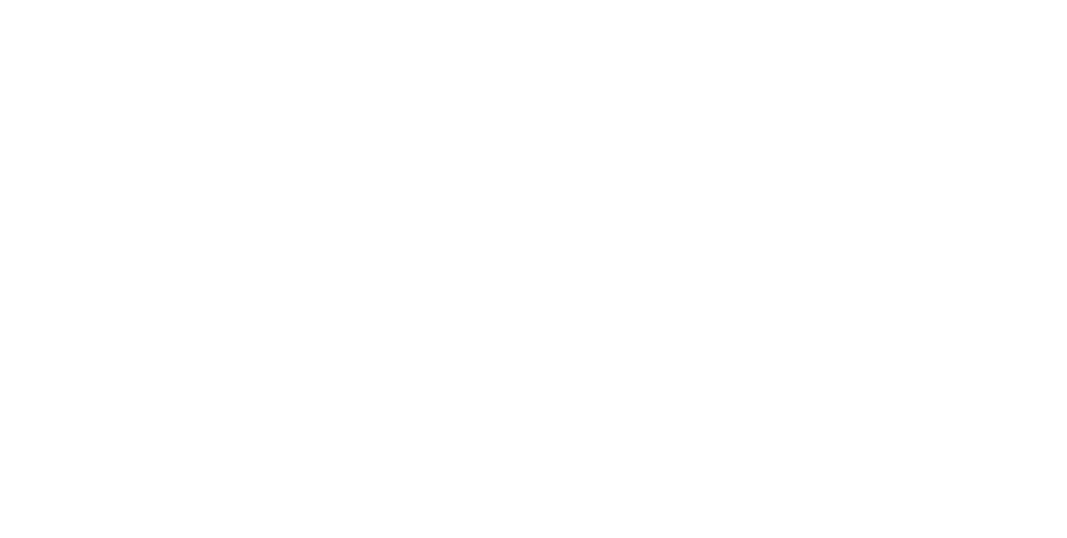 HEMA Swords & Feders | Haft Arms – Fast Worldwide Shipping - Hema Feders