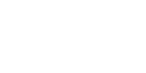 HEMA Swords & Feders | Haft Arms – Fast Worldwide Shipping - Hema Feders